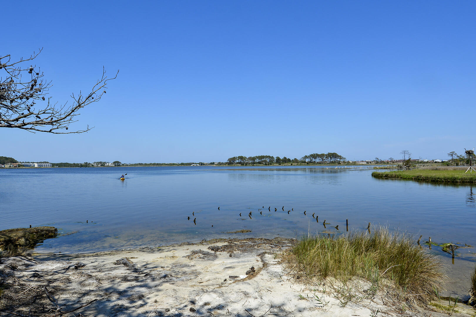 541 Bethany Loop, Salt Pond | Bethany Beach, DE | Long & Foster ...