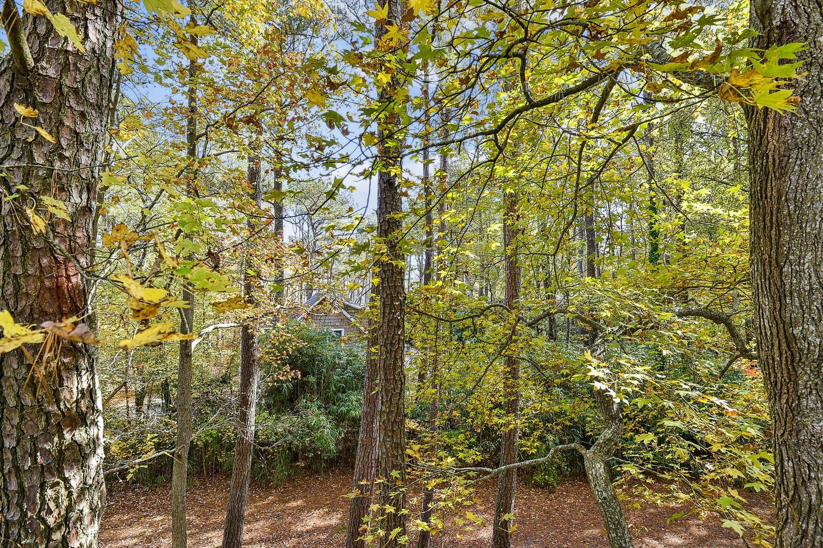 Southern Comfort, 24 Bridge Road | Middlesex Beach, DE | Long & Foster ...